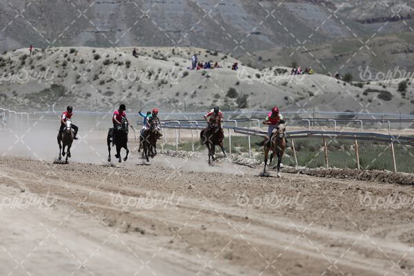 تصویربا کیفیت کورس اسب سواری - ایران طرح