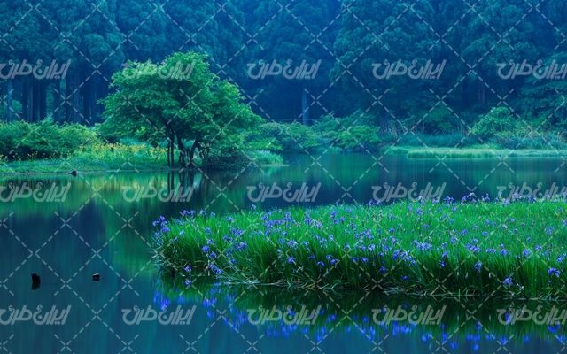 تصویر با کیفیت چشم انداز زیبای دریاچه همراه با منظره دیدنی و طبیعت زیبا