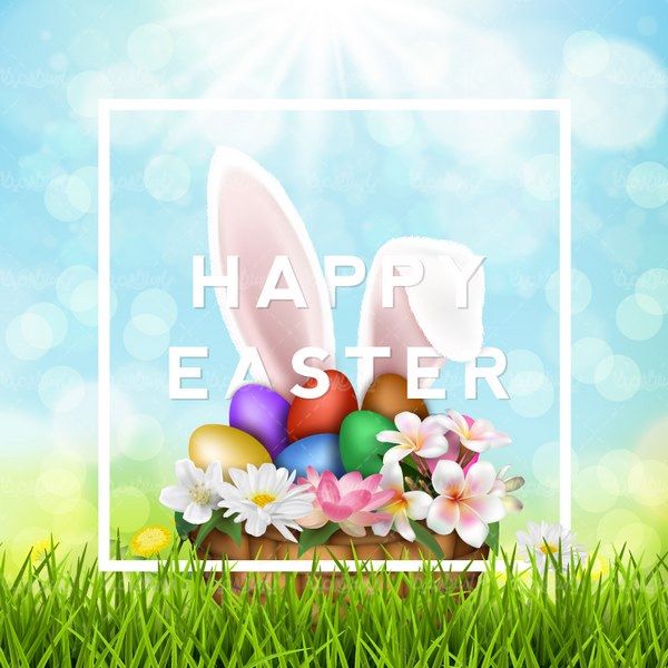 Spring Vector - ایران طرح